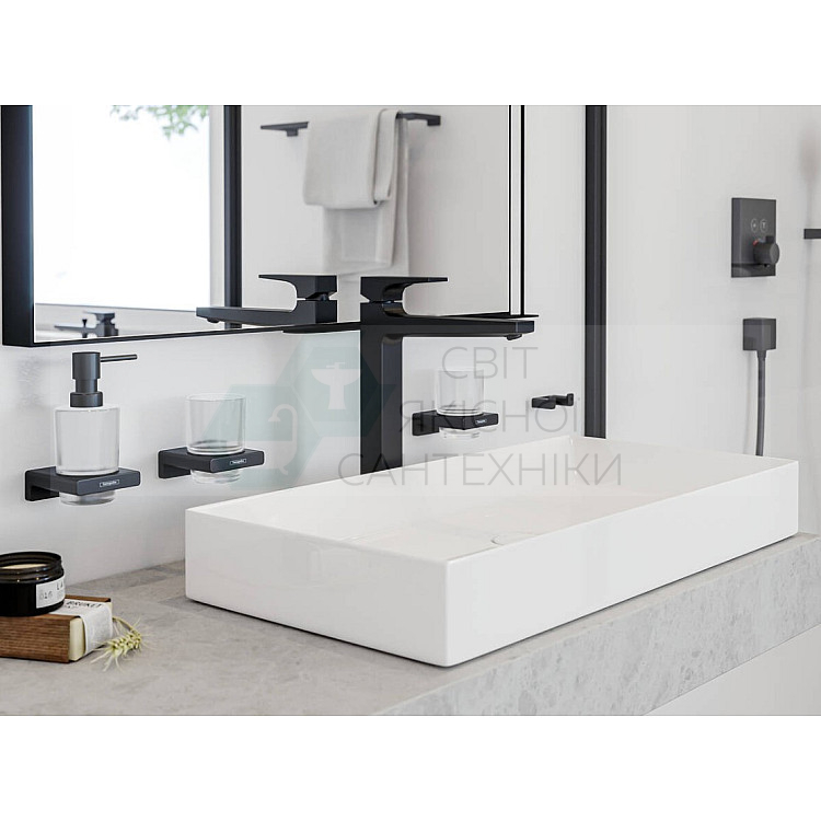 Купити Гачок подвійний Brushed Black Hansgrohe AddStoris 41755340 ...